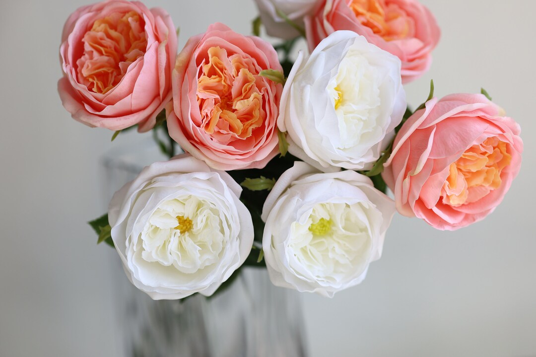 18.9” Faux Real Touch English Cabbage Roses-white/coral Peach ...
