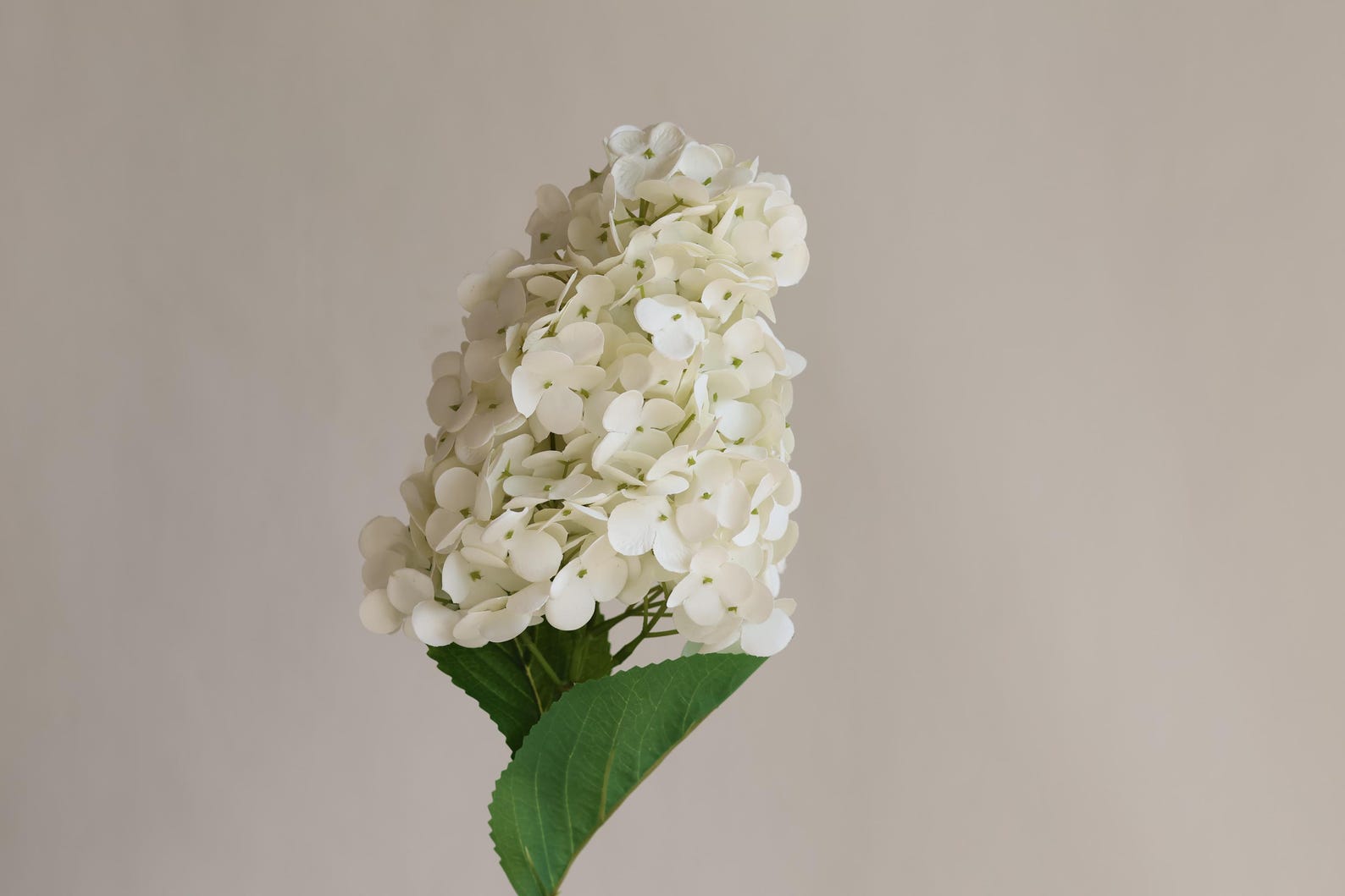 29" Faux Cone Hydrangea Real Touch Flowers Stem, Luxury Realistic ...