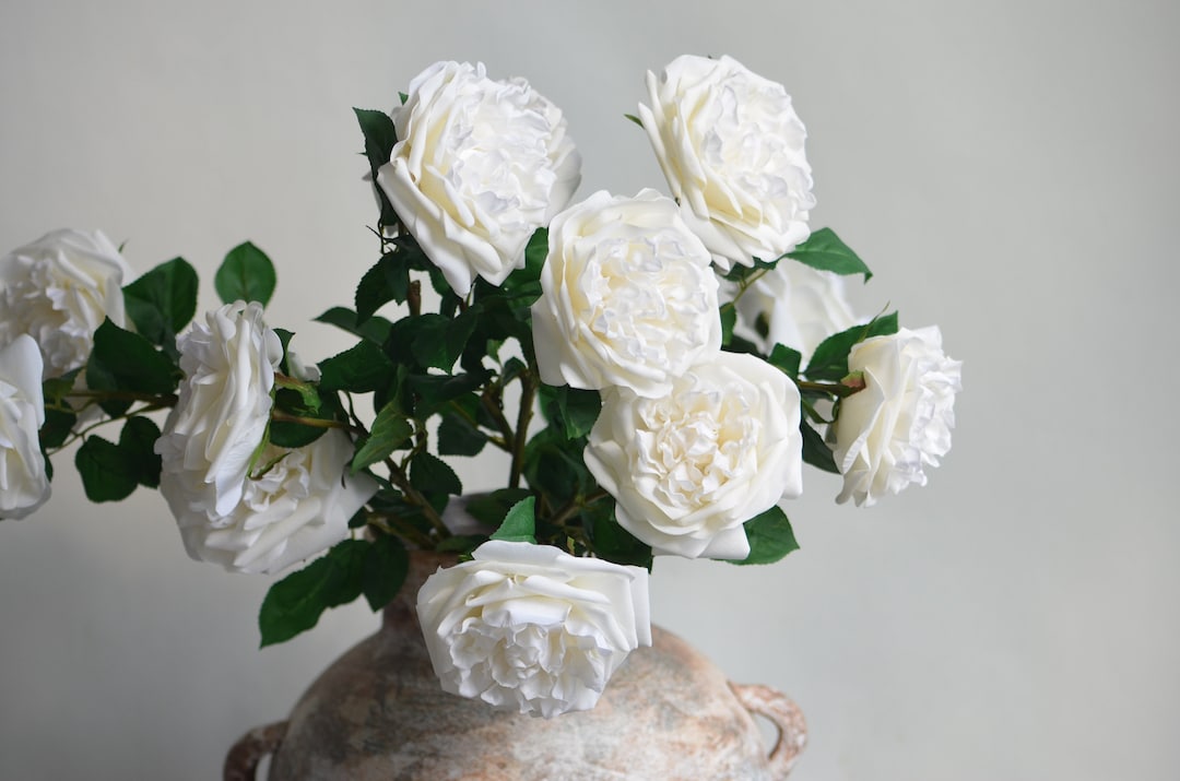 25.5" Cream White Real Touch English Cabbage Roses, High Quality ...