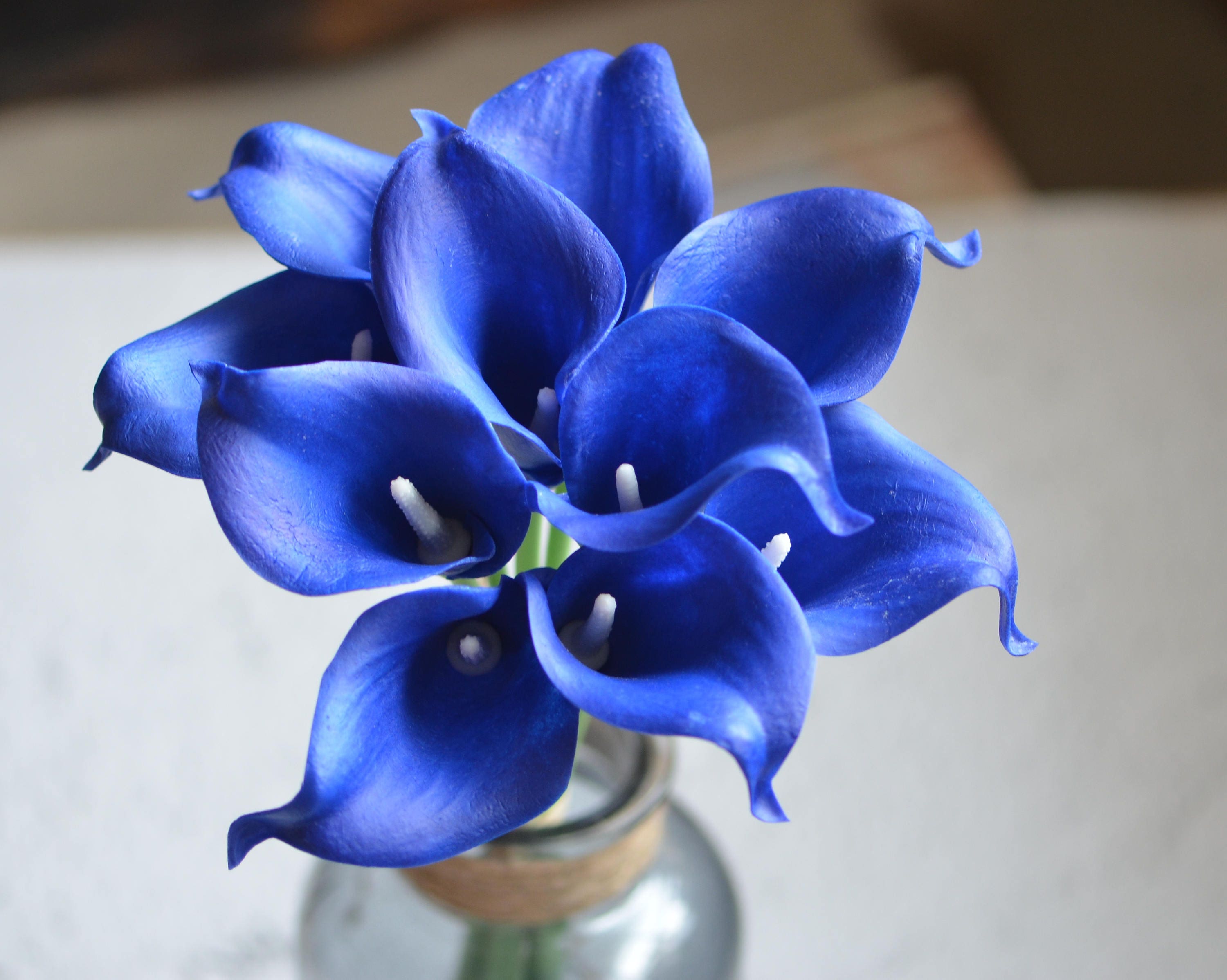 10 Dark Royal Blue Calla Lilies Real Touch Flowers DIY Silk | Etsy