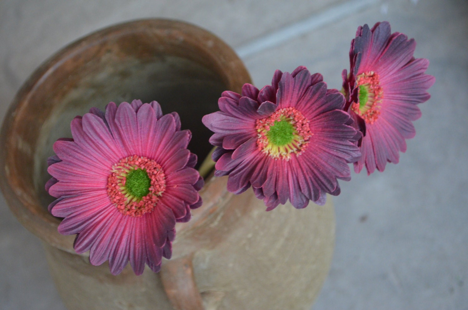 Burgundy Gerbera Daisys Real Touch Flowers DIY Wedding Bridal | Etsy