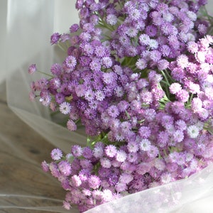 Purple Baby's Breath Bundle, Artificial Baby's Breath, Faux Purple ...