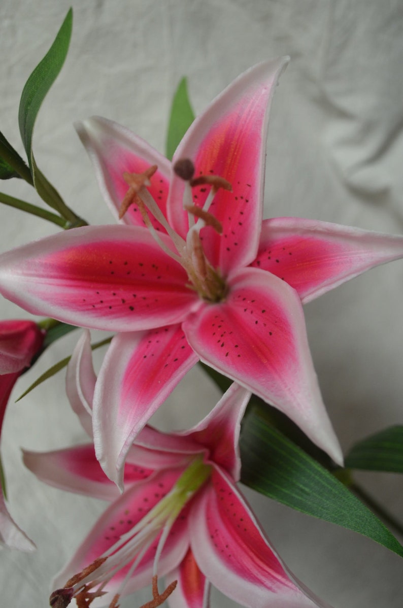 Hot Pink Tiger Lilies Real Touch Flowers Holiday DIY | Etsy