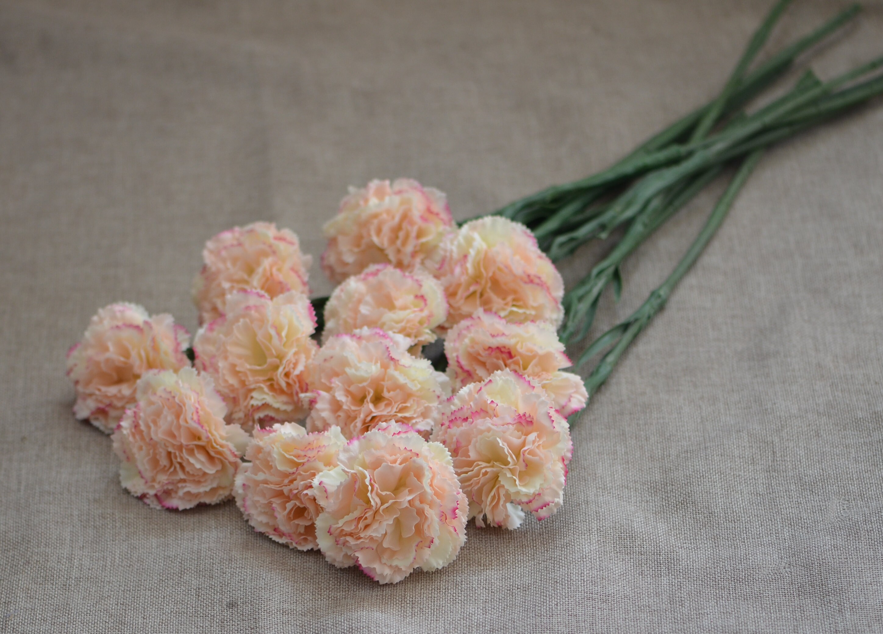 Peach Blush Carnations Real Touch Carnations DIY Wedding | Etsy