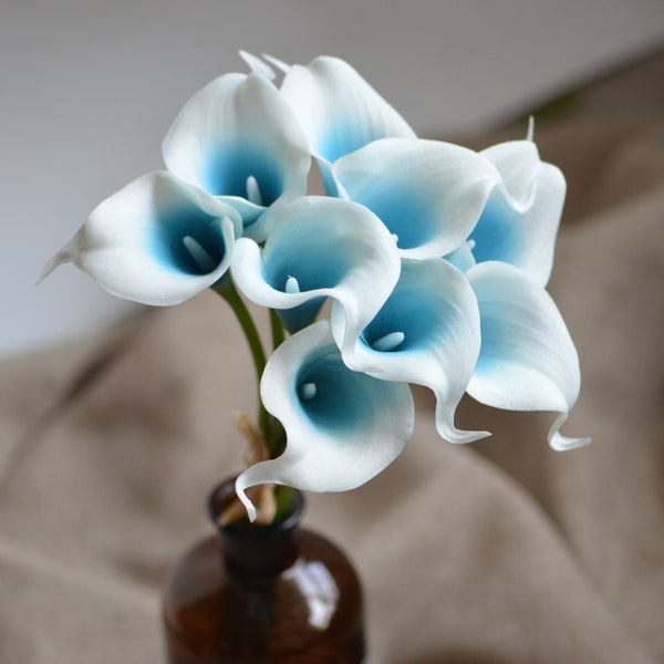 Blue Calla Lily - Etsy
