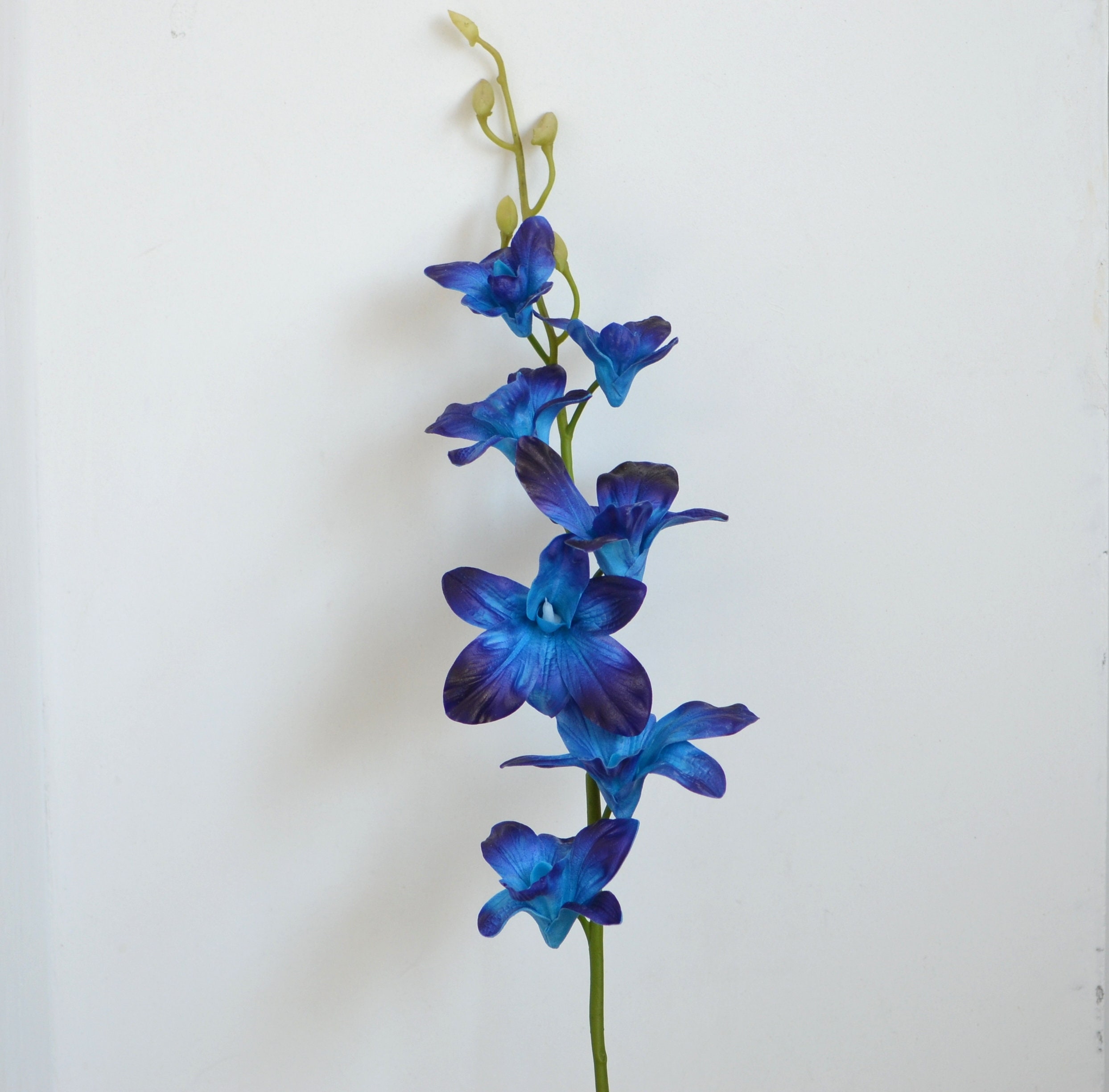 Dark Turquoise Purple Orchids Real Touch Thailand Orchids DIY | Etsy