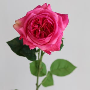 26.3" Faux Real Touch Hot Pink Cabbage Roses, Artificial Garden Rose ...