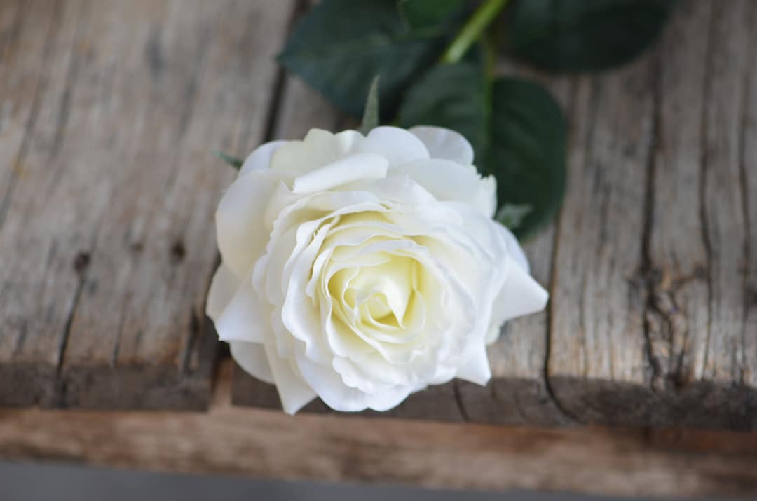 White Real Touch Artificial Roses, DIY Florals, Wedding/home/kitchen ...