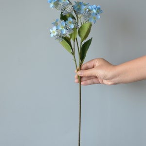 Blue Seeded Hydrangeas, Blue Wildflowers, Blue Filler Flowers, DIY ...
