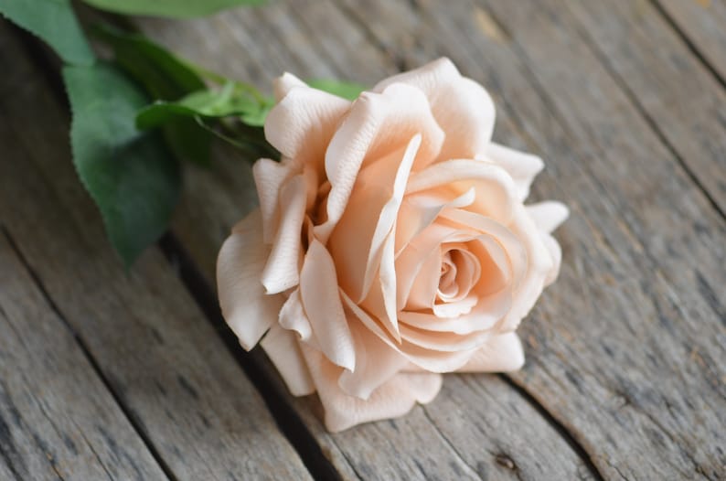 Morandi Pink Roses Vintage Tan Beige Garden Roses Real Touch - Etsy