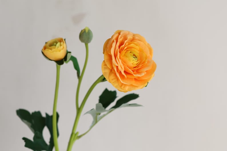 20.5" Real Touch Fake Ranunculus-yellow Orange Champagne, Spring Summer ...