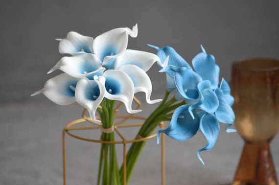 Malibu Blue Flowers Malibu Sun In South Hadley MA Carey's Flowers,