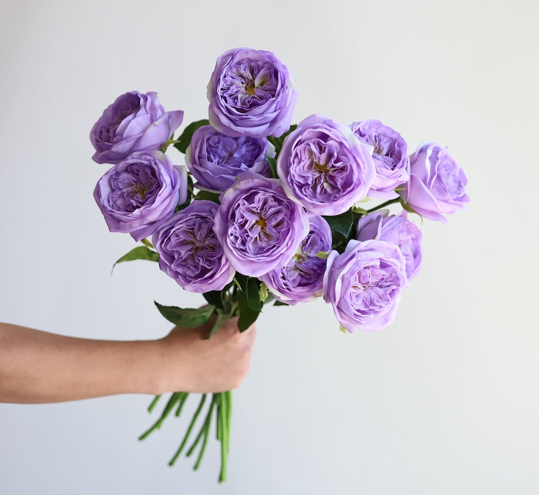 18.9” Purple Faux Real Touch English Cabbage Roses Realistic Fake ...