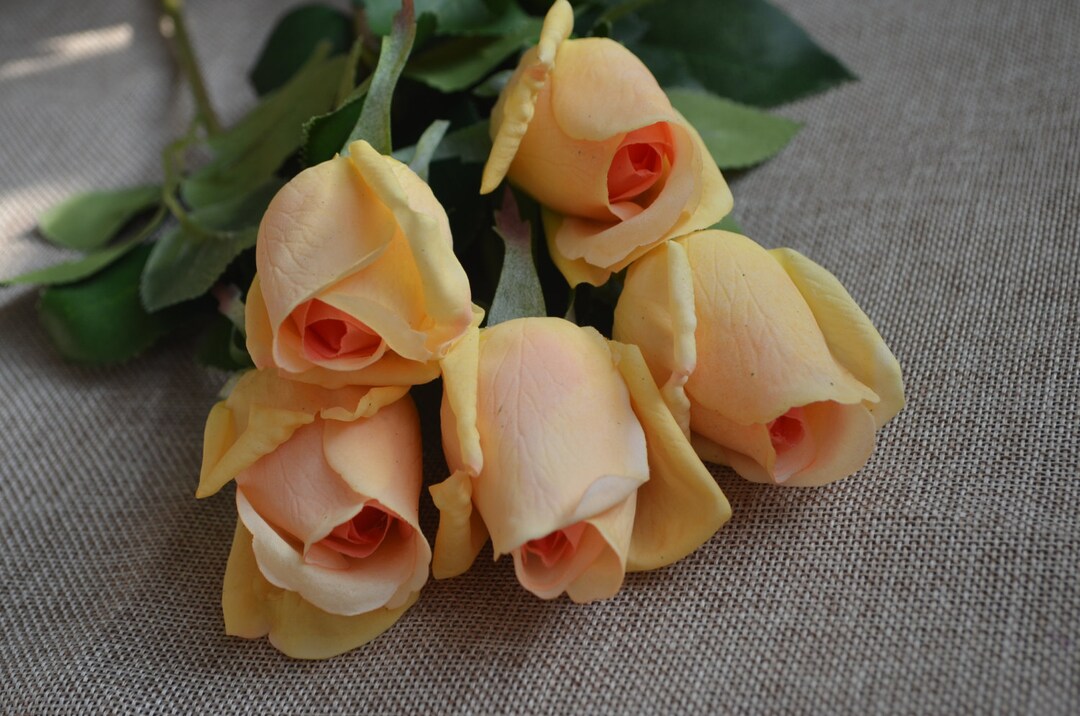 17" Champagne Real Touch Fake Rose, Artificial Flower, DIY Centerpieces ...