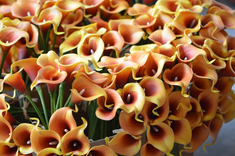 Autumn Burnt Orange Calla Lilies Rust Orange Real Touch Calla - Etsy