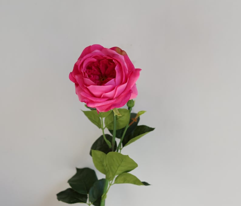 26.3" Faux Real Touch Hot Pink Cabbage Roses, Artificial Garden Rose ...