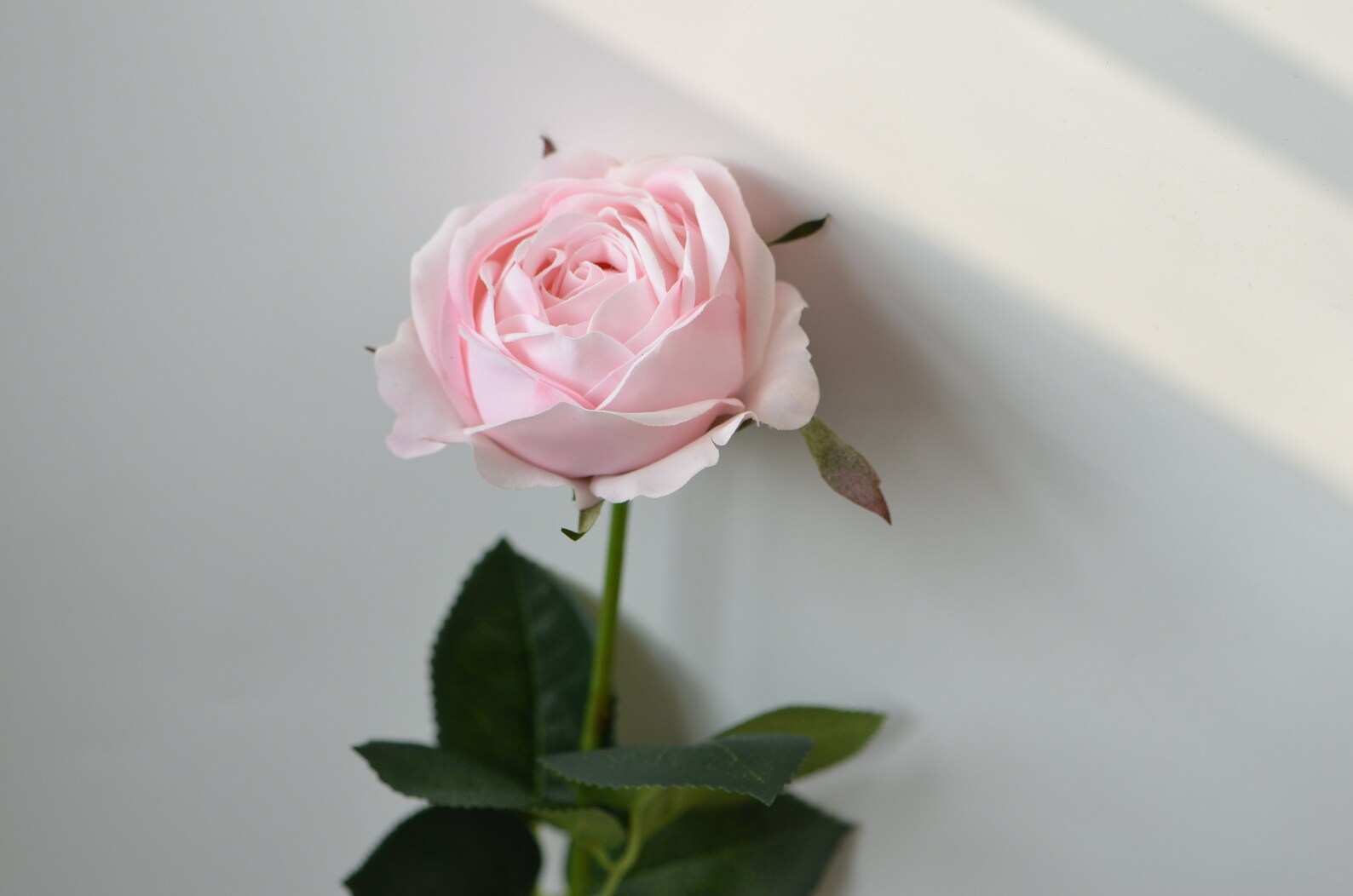 Rose di cavolo rosa avorio, rose di seta Real Touch, bouquet da sposa ...