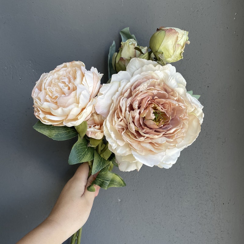 Tan Peony Stems - Etsy