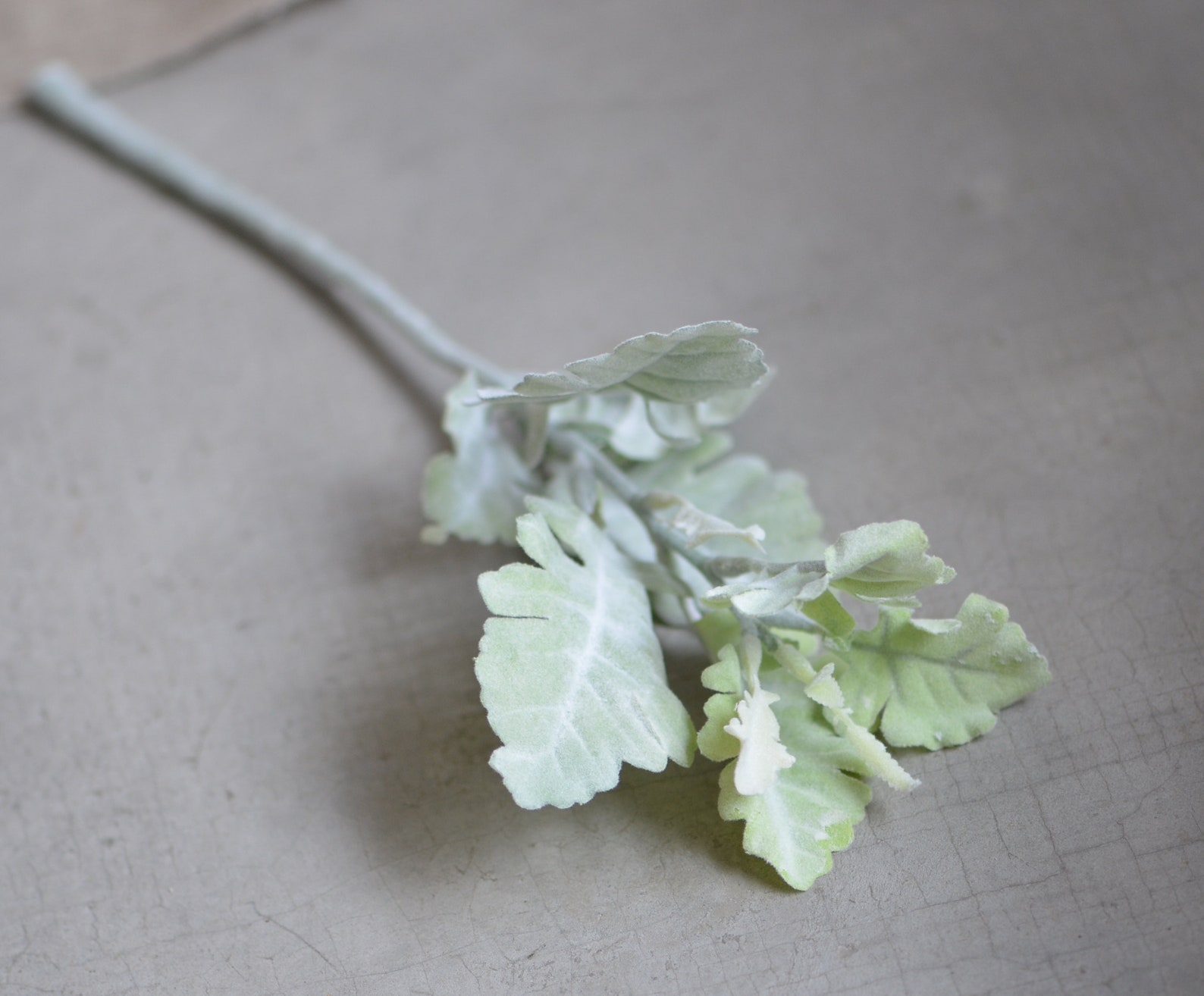 Flocked Leaves, Silver Oak Leaves, Artificial Greenery, Dusty Miller ...