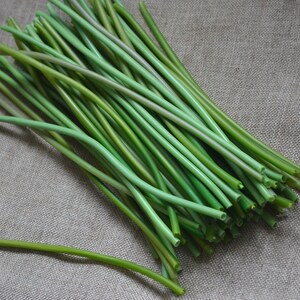 100 Stems, Artificial Plastic Stems, DIY Wedding Bouquets - Etsy