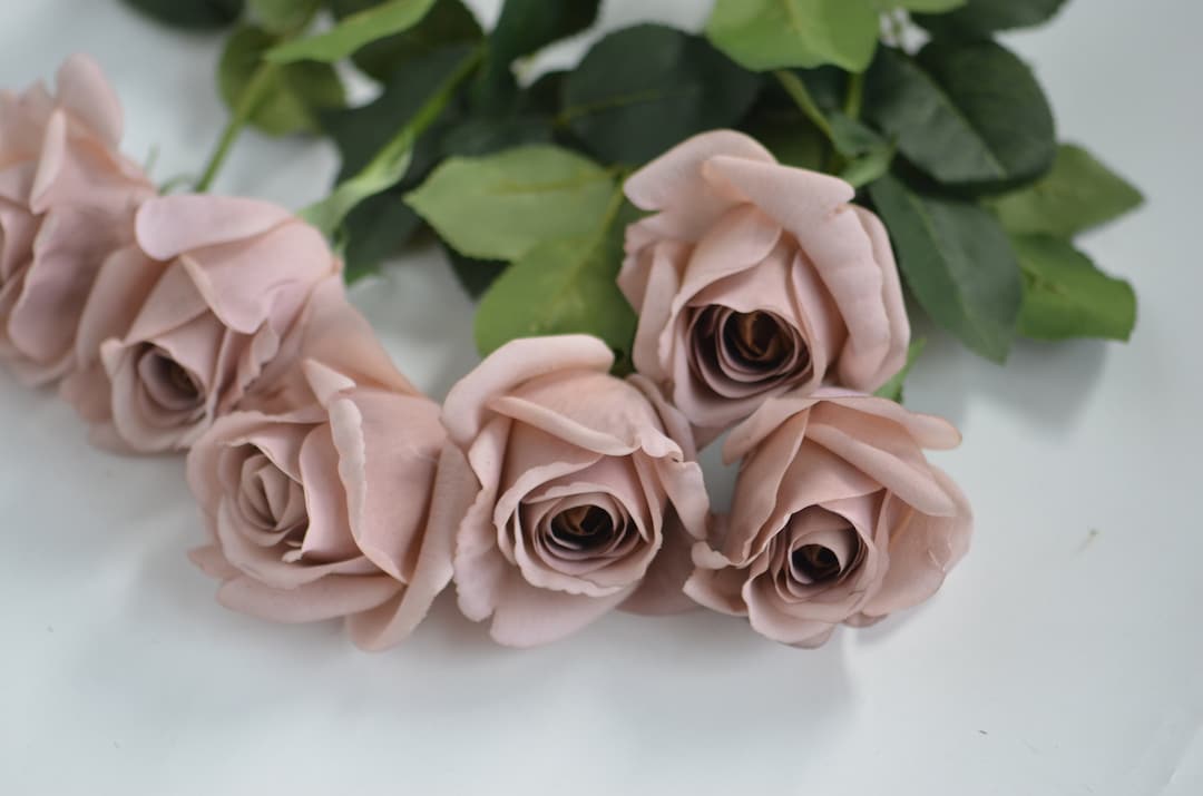 Brown Roses, Dark Beige Real Touch Medium Roses, Coffee Color DIY ...