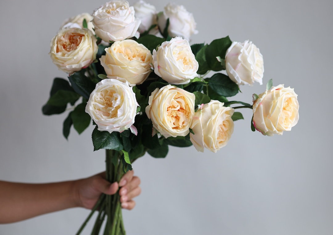 24” Faux Real Touch English Cabbage Roses-ivory, Extremly Realistic ...