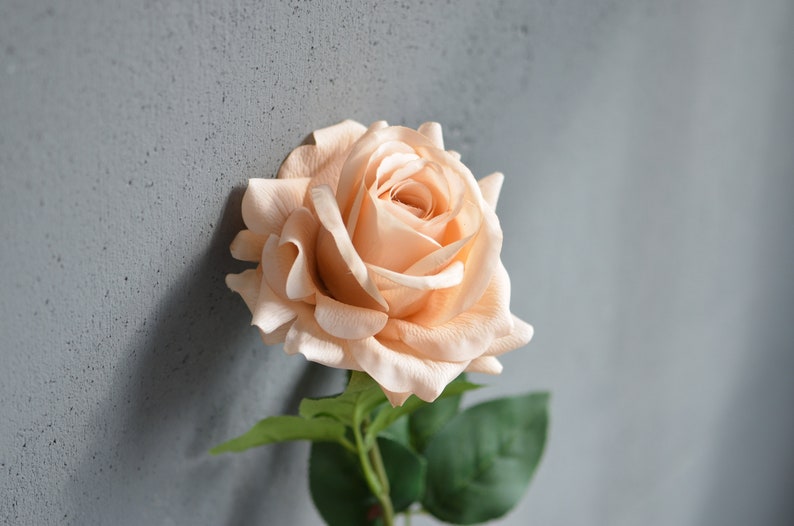 Morandi Pink Roses Vintage Tan Beige Garden Roses Real Touch - Etsy