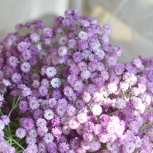 Purple Baby's Breath Bundle, Artificial Baby's Breath, Faux Purple ...