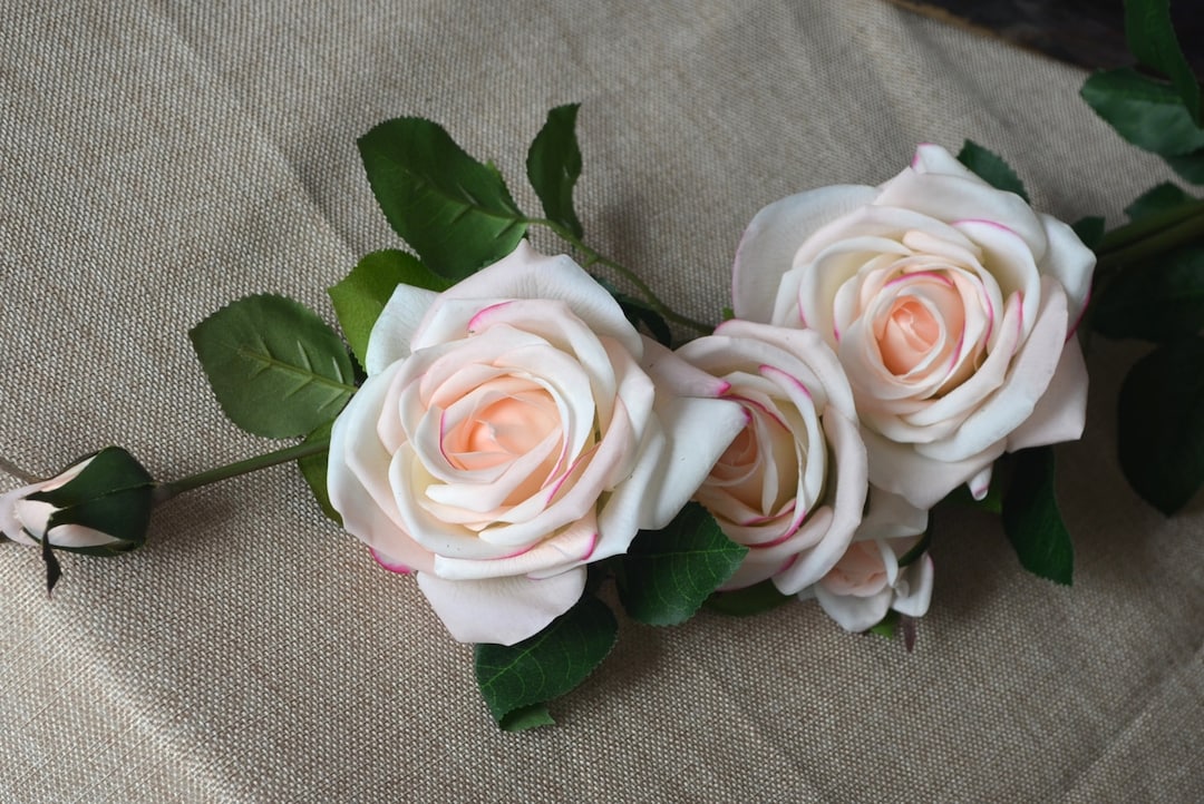 Blush Peach English Garden Roses Real Touch Silk Large Roses Spray DIY ...