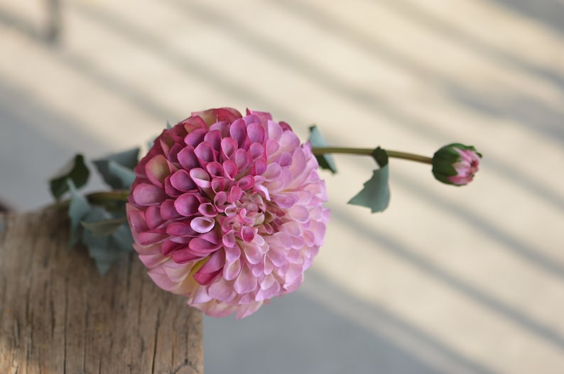 Gradient Colors Dahlia Artificial Dahlia Flowers Big Ivory - Etsy