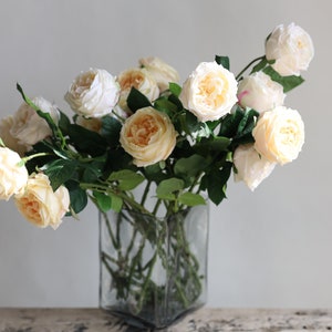 24” Faux Real Touch English Cabbage Roses-ivory, Extremly Realistic ...