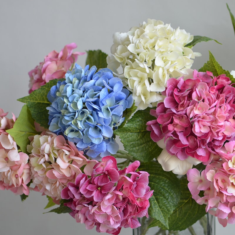 One Touch Color - Etsy