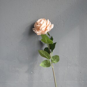 Morandi Pink Roses, Vintage Tan Beige Garden Roses, Real Touch Roses ...