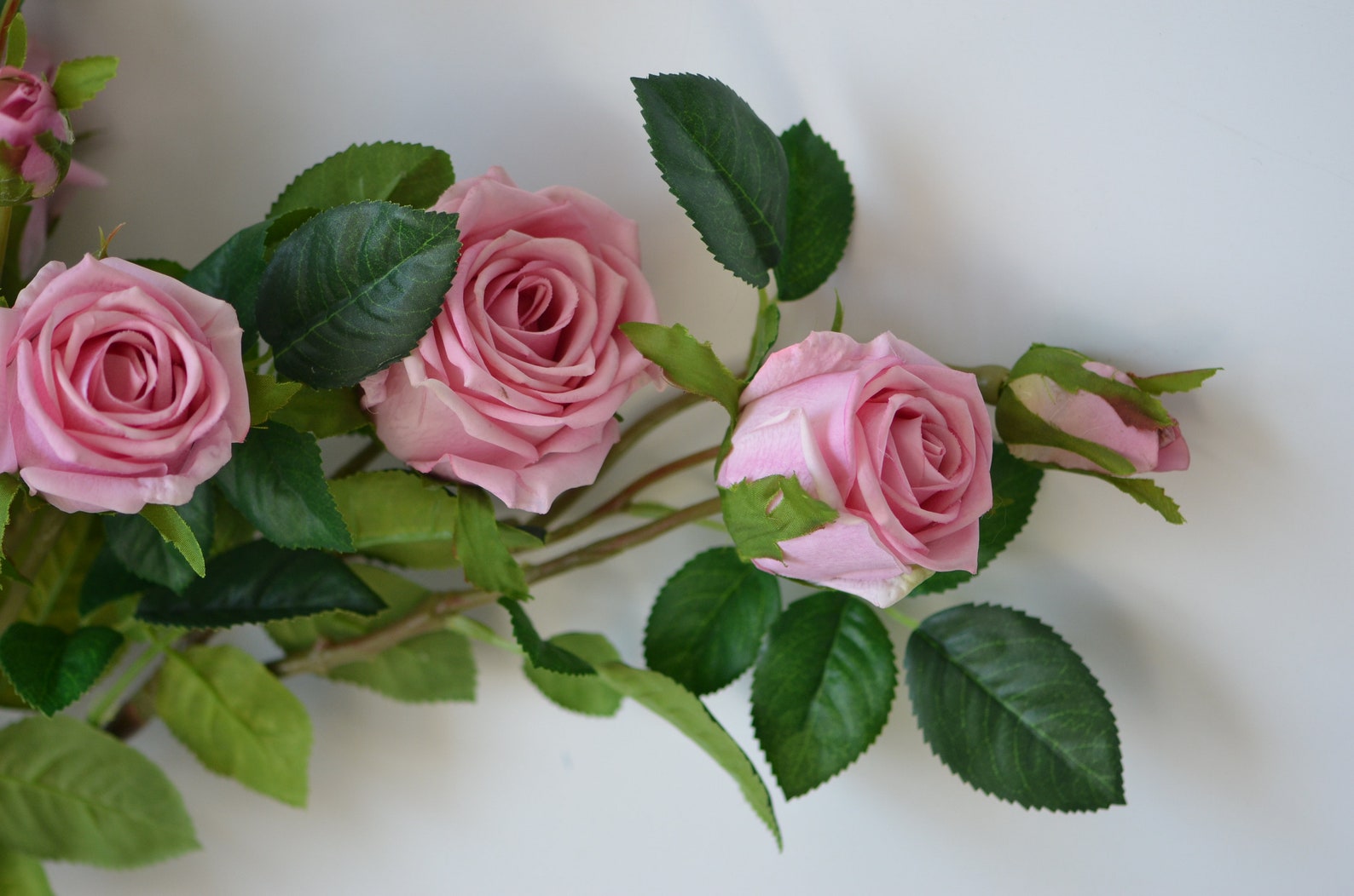 Dusty Pink Roses Real Touch Roses Old English Garden Roses | Etsy
