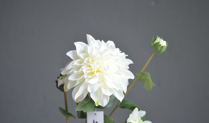 Dust Pink Ivory Faux Dahlia White Dahlia Flowers Gradient - Etsy