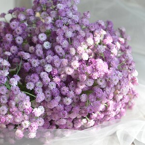 Purple Baby's Breath Bundle, Artificial Baby's Breath, Faux Purple ...