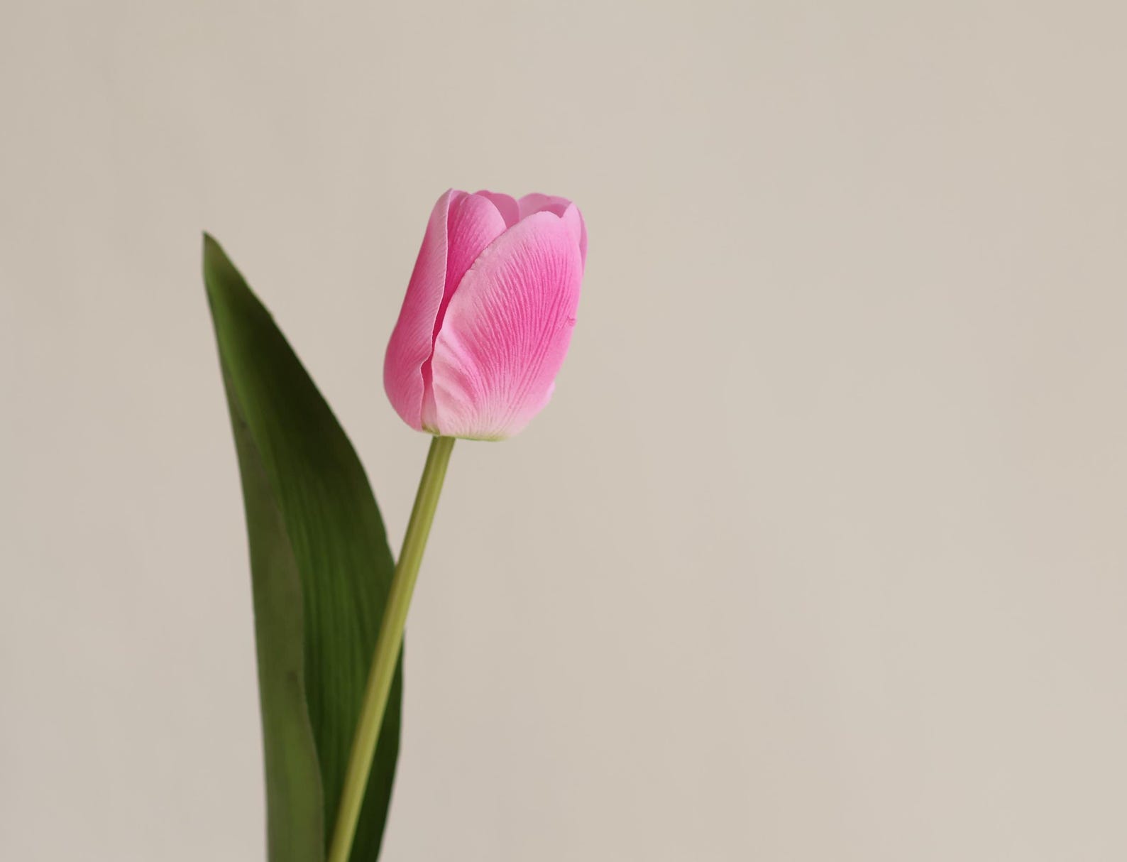 Fake Hot Pink Real Touch Tulip - 14", Artificial Spring Flowers, Spring ...
