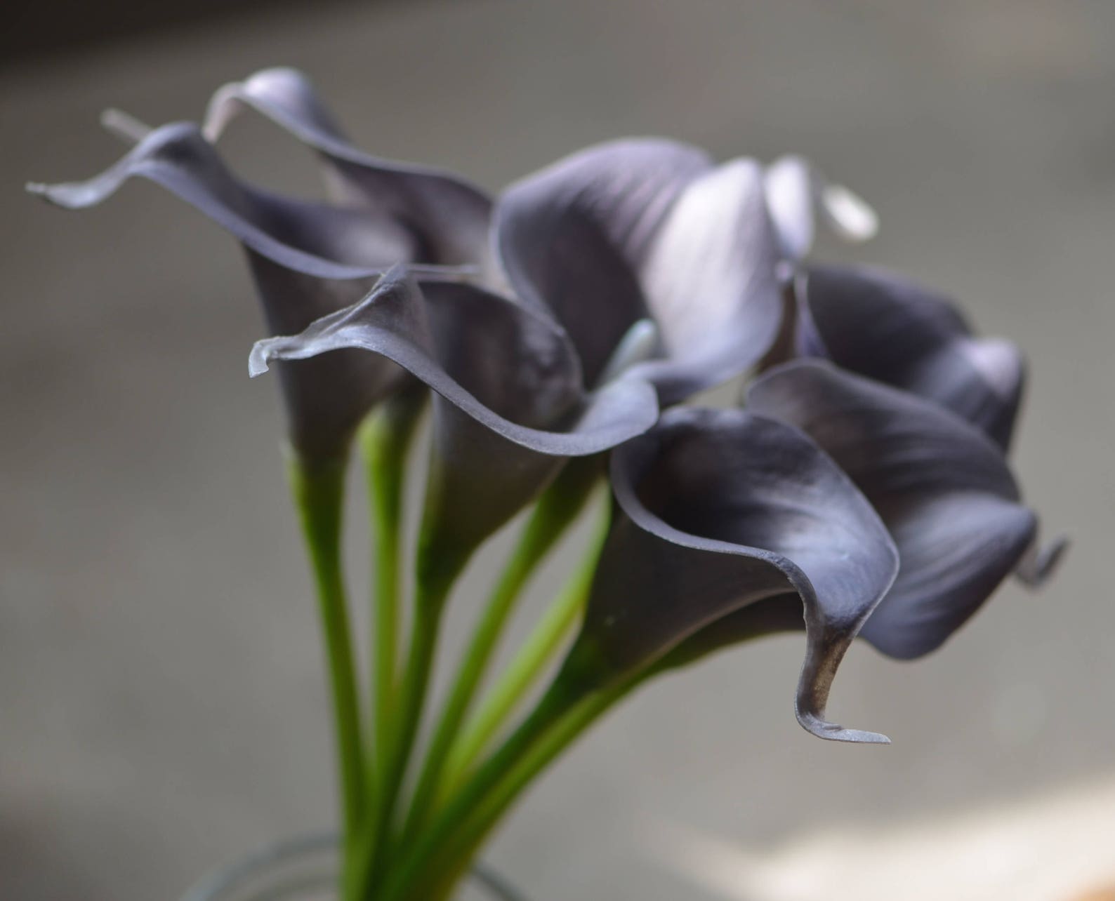 Gray Calla Lilies Real Touch Flowers DIY Calla Lilies Wedding - Etsy
