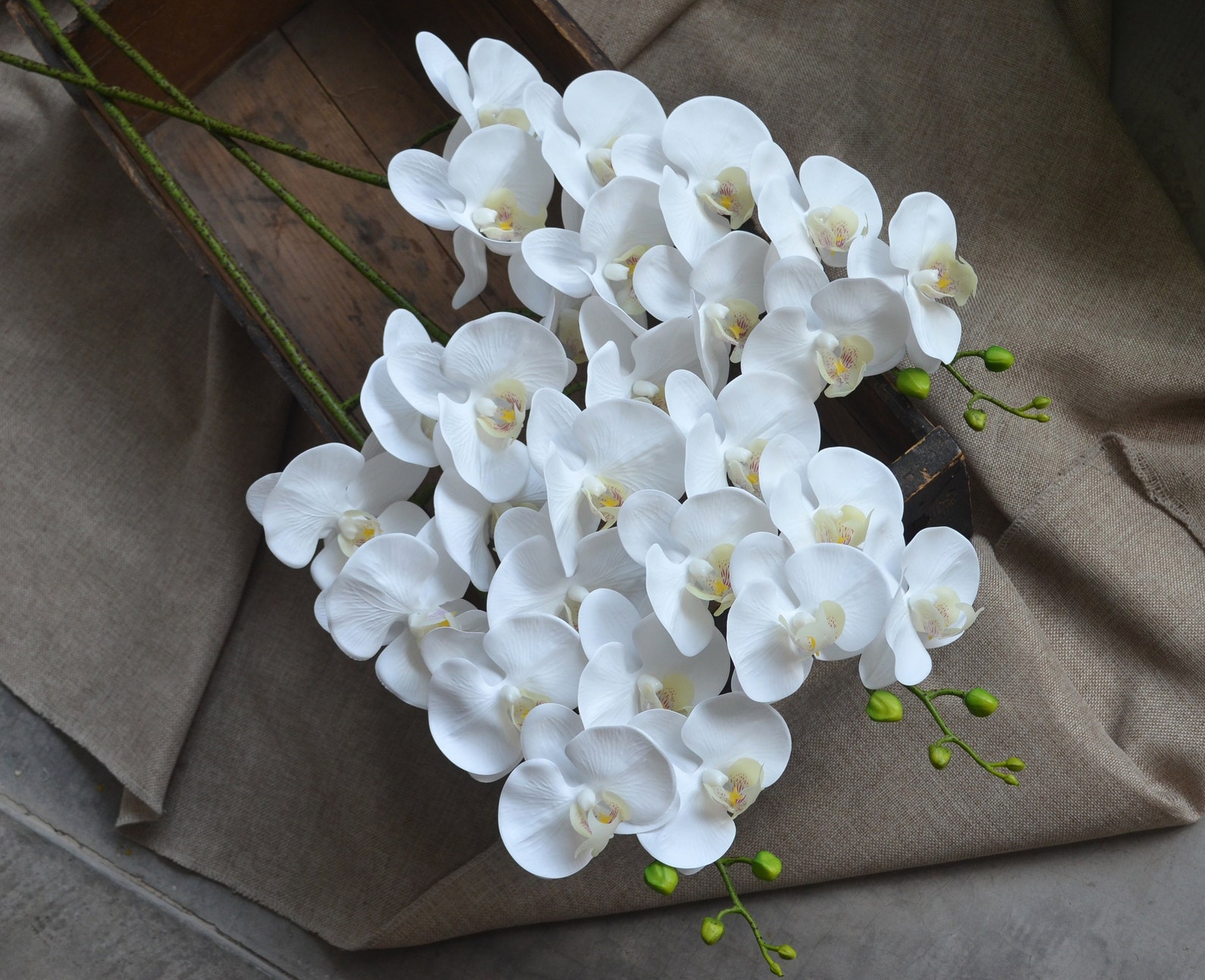 White Orchids Real Touch Flowers Phalaenopsis True Touch - Etsy