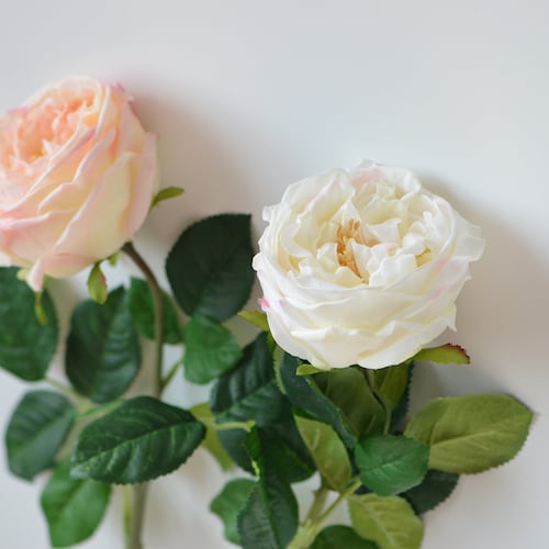 Ivory Cream Roses Real Touch Flowers Silk Latex Roses DIY - Etsy