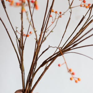 55" Faux Orange Berry Branch Stem, Decorative Plant Stem, Minimalist ...