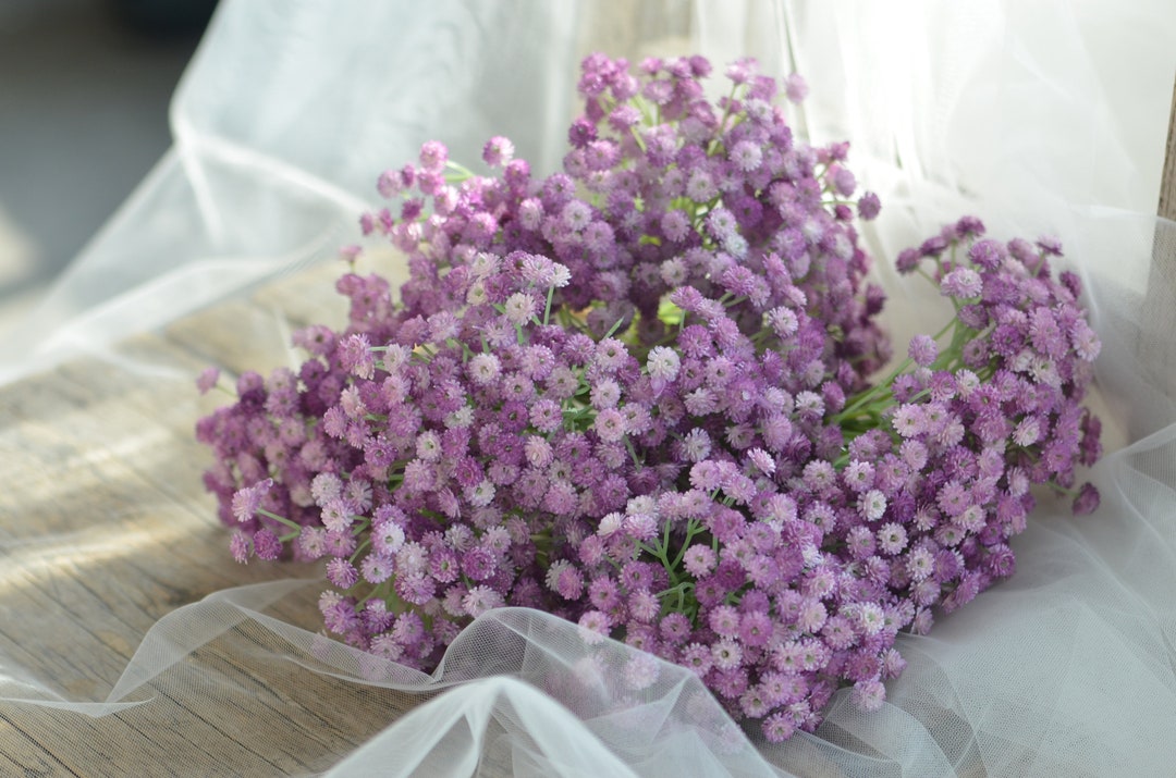 Purple Baby's Breath Bundle, Artificial Baby's Breath, Faux Purple ...
