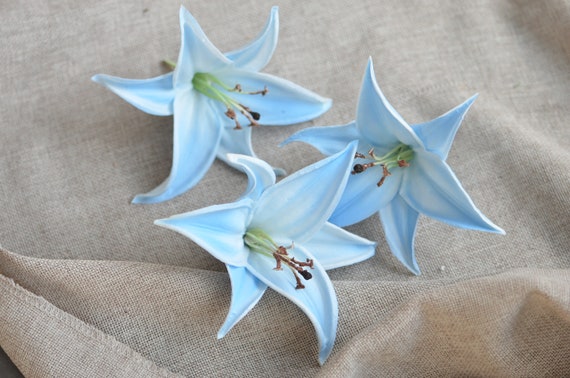 Blue Tiger Lily Flower