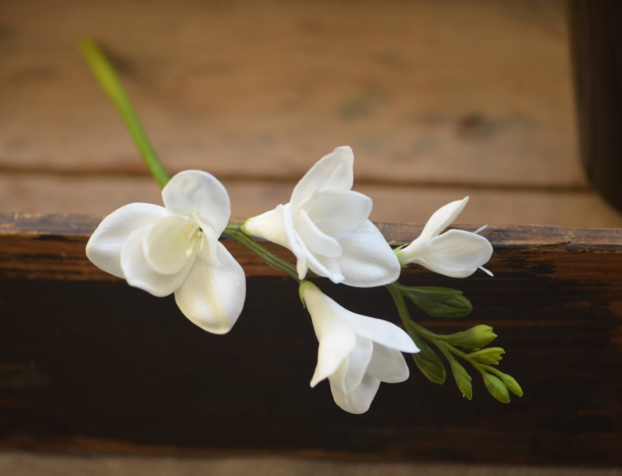 Ivory White Freesia Orchids Real Touch Flowers DIY - Etsy