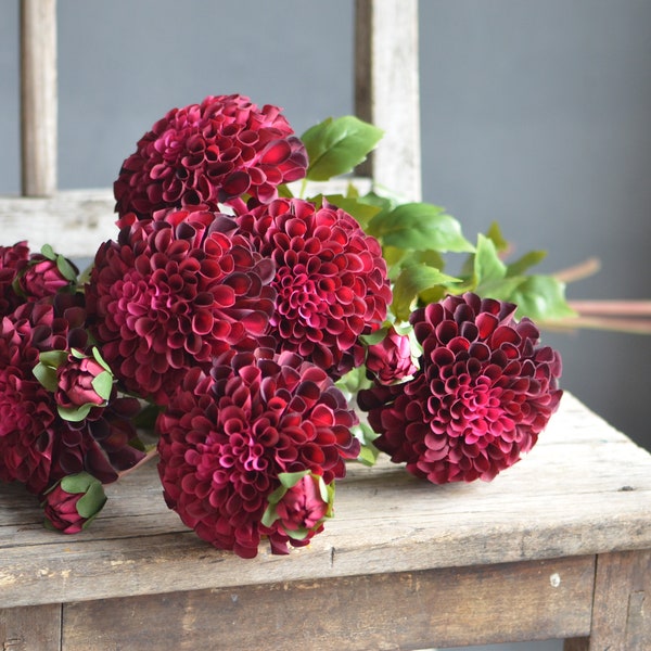 Burgundy Dahlias Dried - Etsy UK