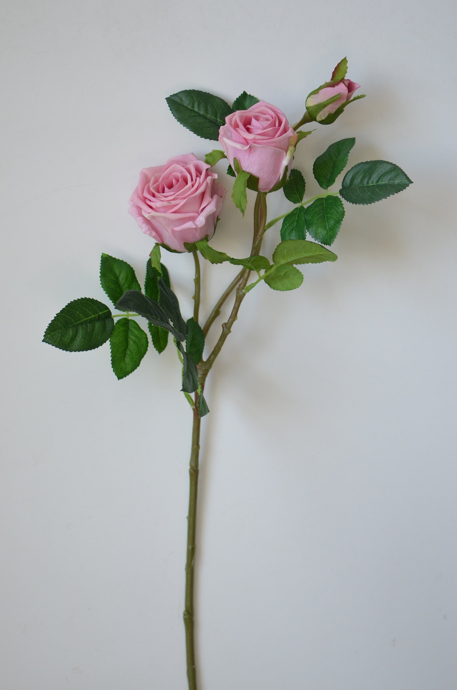 Dusty Pink Roses Real Touch Roses Old English Garden Roses | Etsy