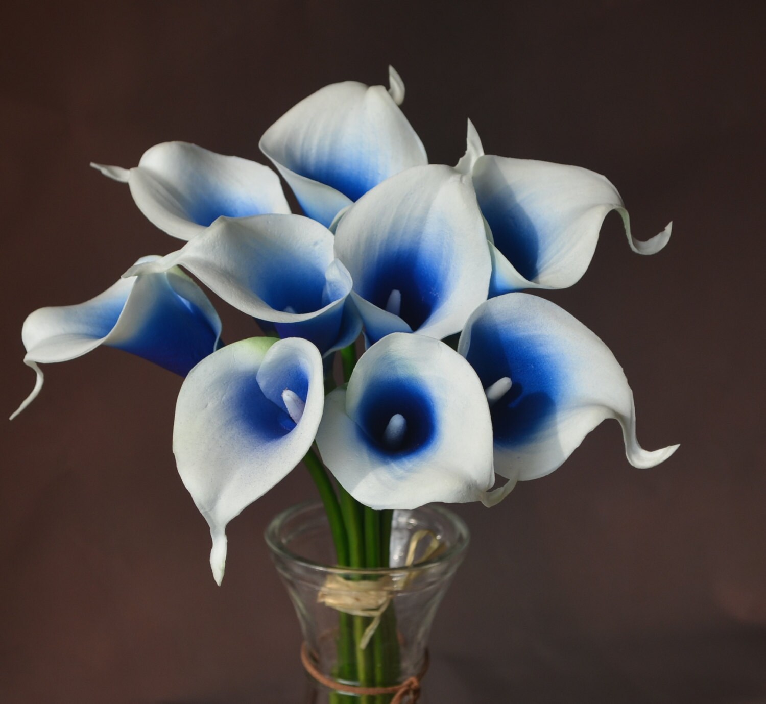 Royal Blue Picasso Calla Lilies Real Touch Flowers DIY Silk - Etsy