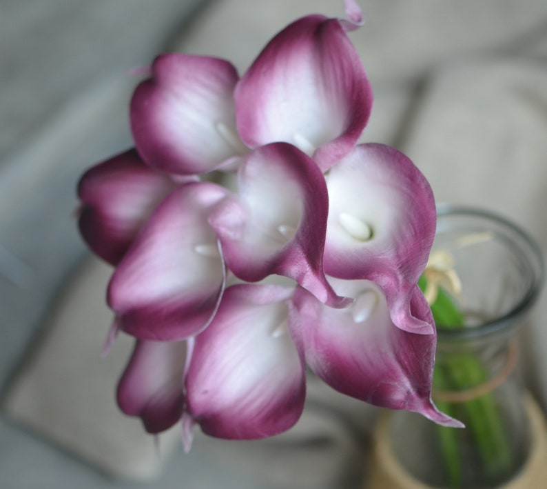 Purple Wine White Calla Lilies Real Touch Flowers DIY Silk | Etsy