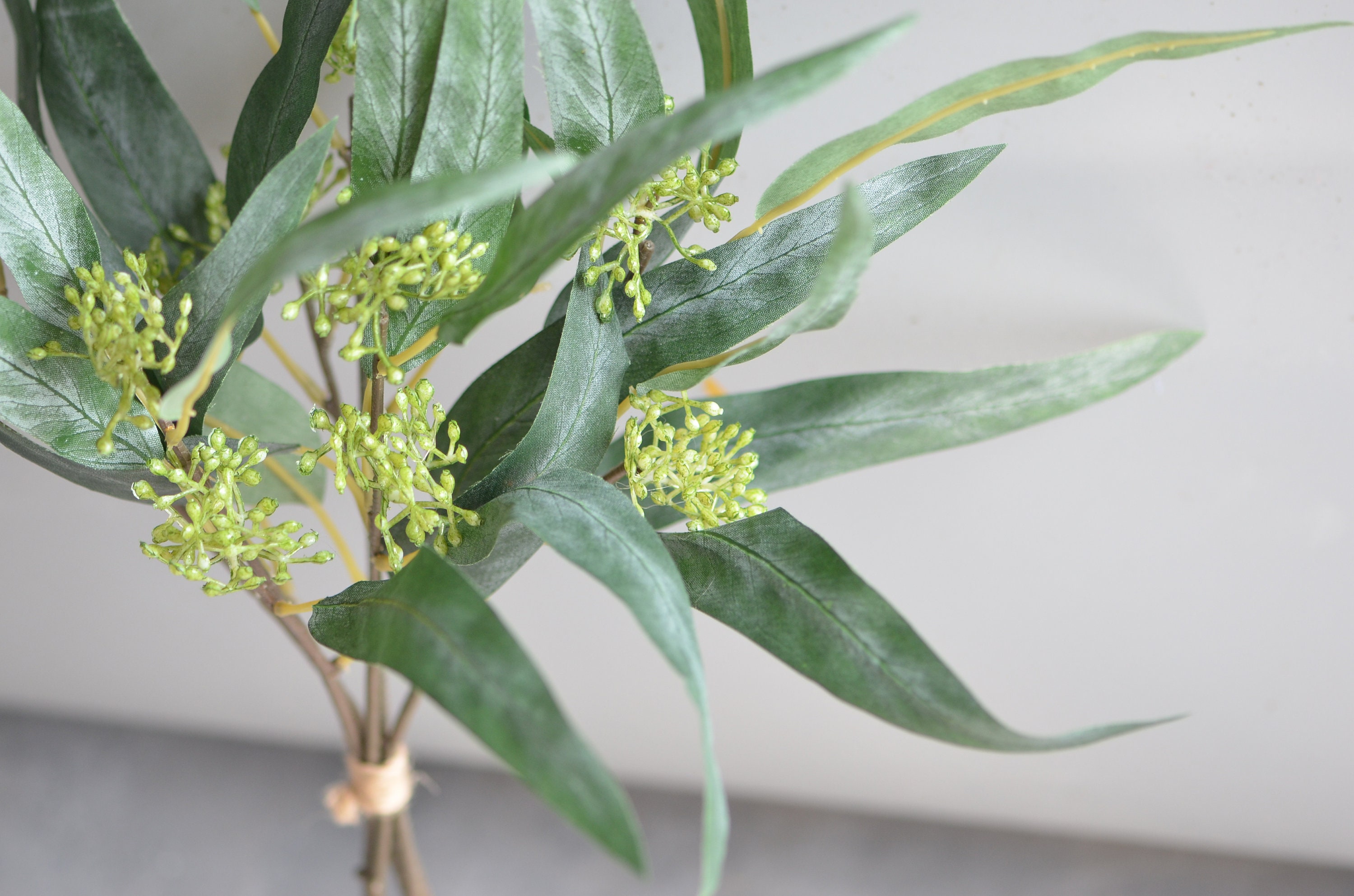 Willow Seeded Eucalyptus Bundle Vintage Green Artificial - Etsy Australia