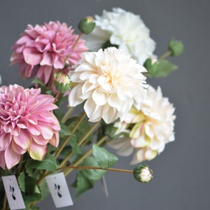 Dust Pink Ivory Faux Dahlia White Dahlia Flowers Gradient | Etsy